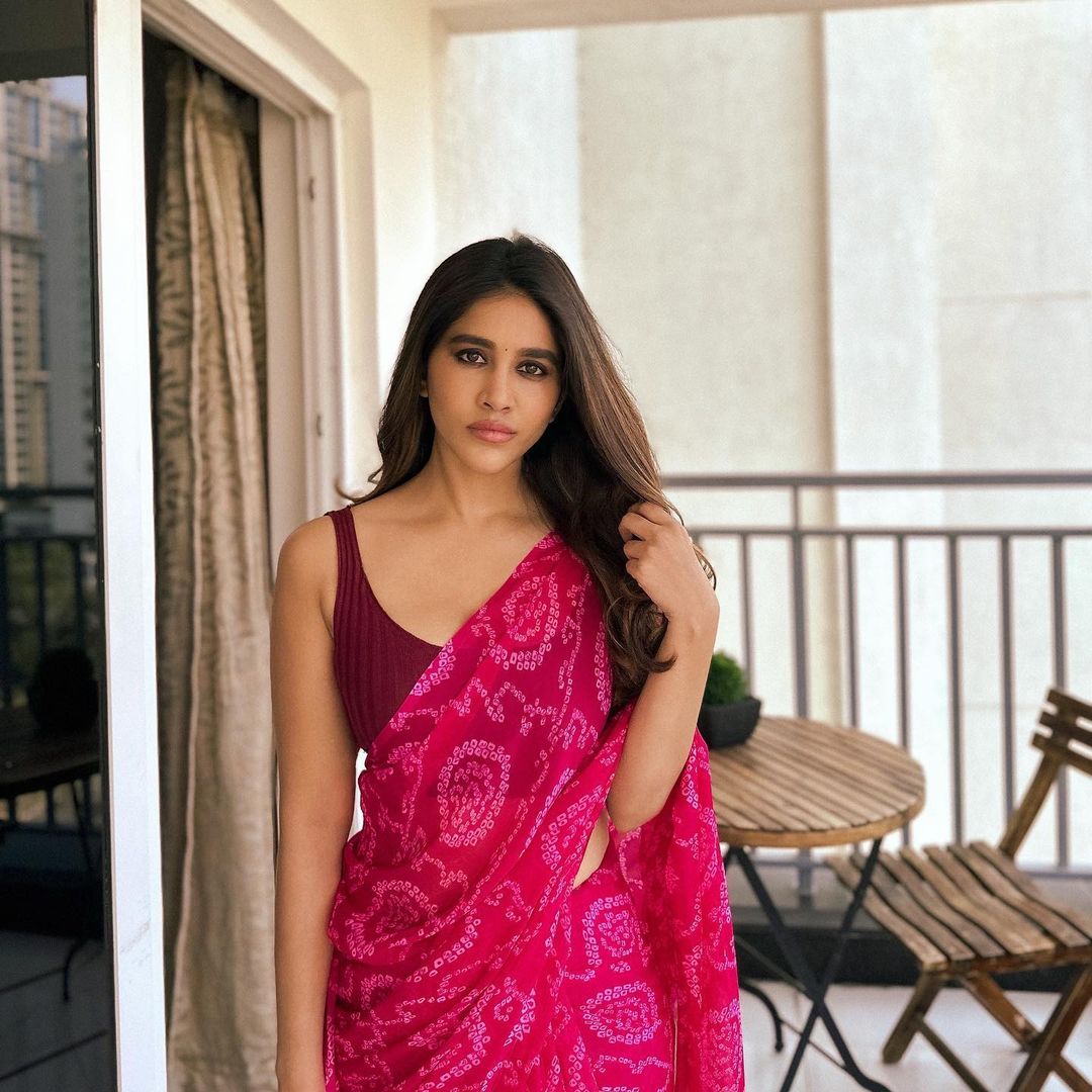 Nabha Natesh Wiki, Biography, Age, Family, Movies